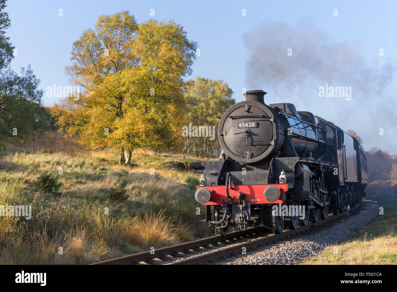 A steam locomotive at Fen Bog Nature Reserve, The North Yorkshire Moors ...