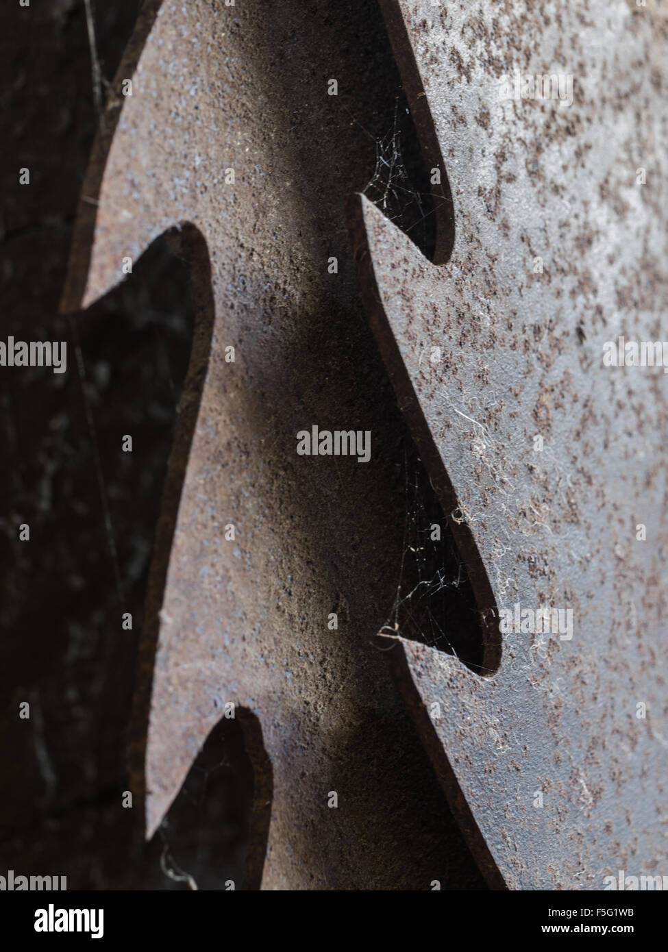 Abstract Pattern Teeth of circular Saw Blade, Endens Mill, King Country ...