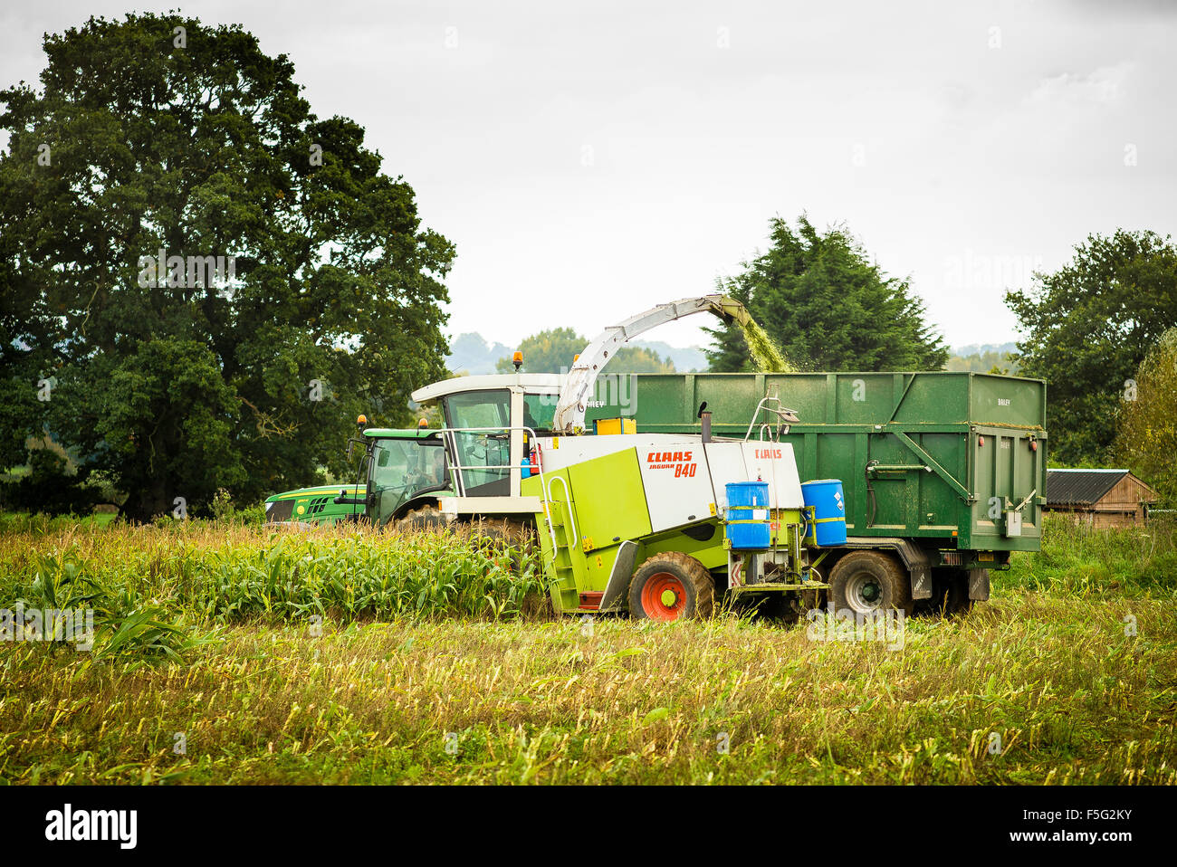Cutting corn field hi-res stock photography and images - Alamy