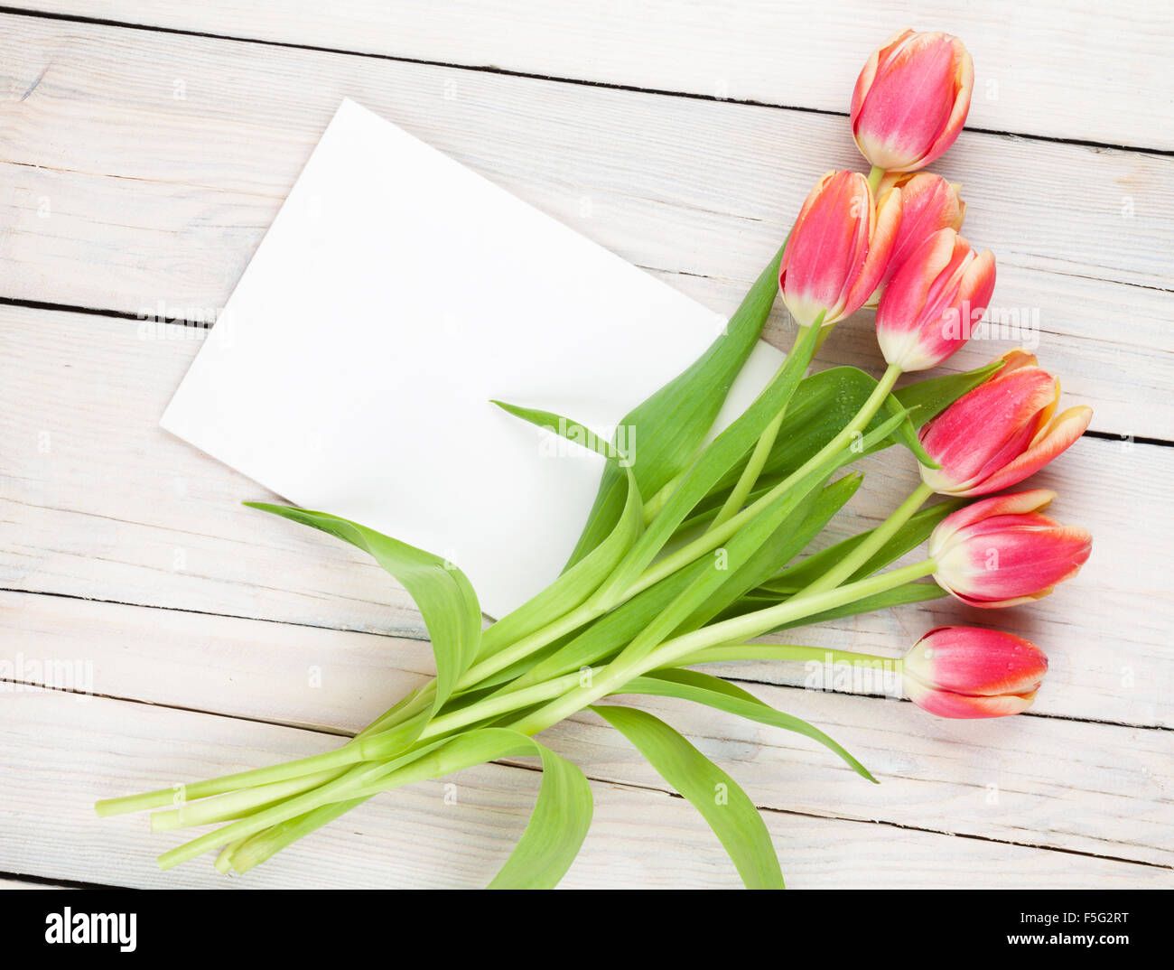 White tulip blank card hi-res stock photography and images - Alamy