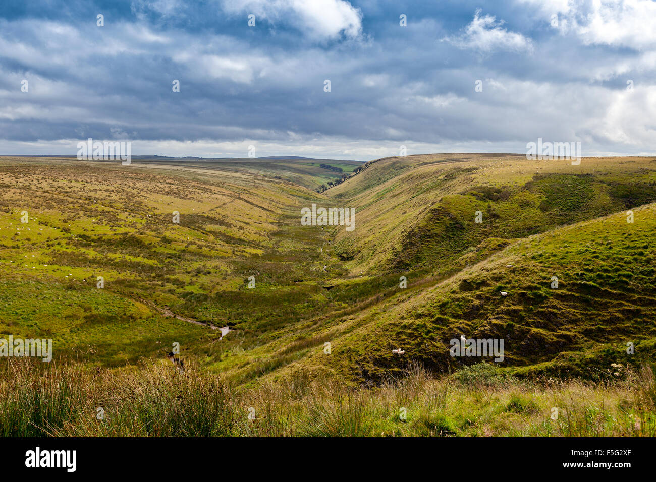 The valley of the infant River Exe on Exmoor, Somerset, England, UK ...