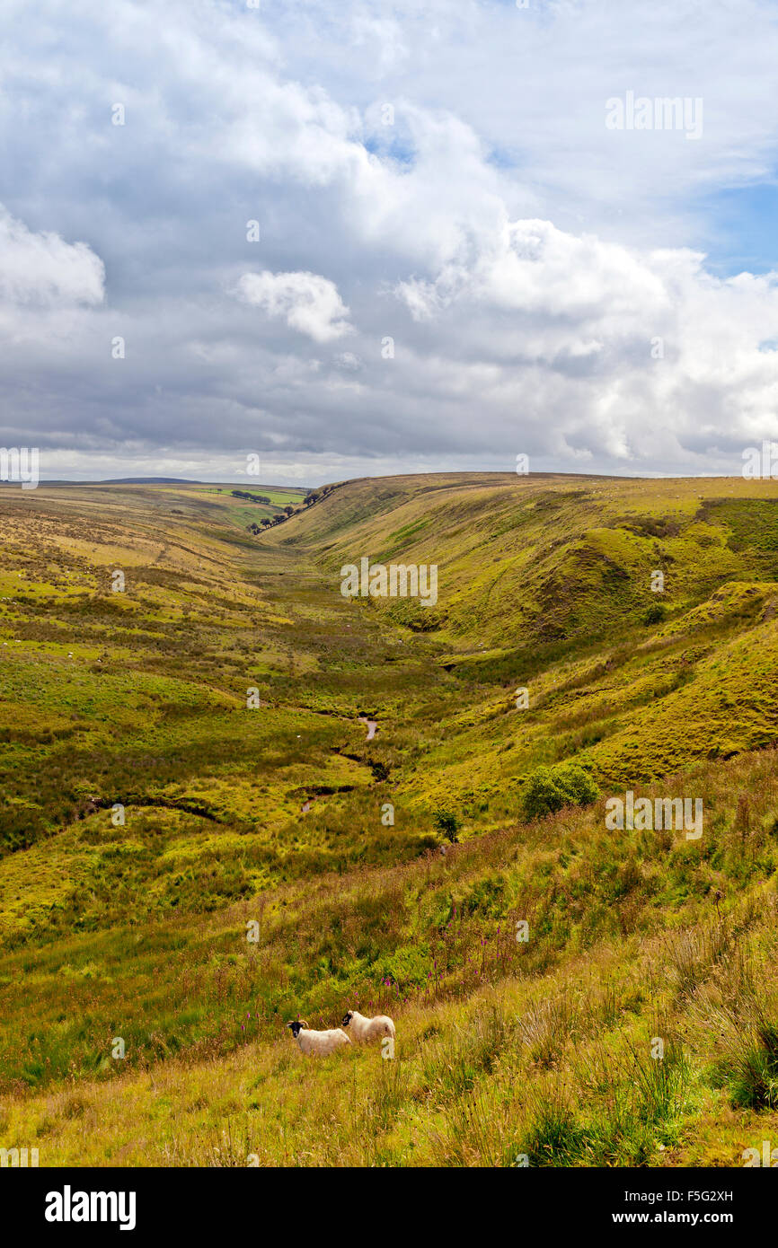 Infant river hi-res stock photography and images - Alamy