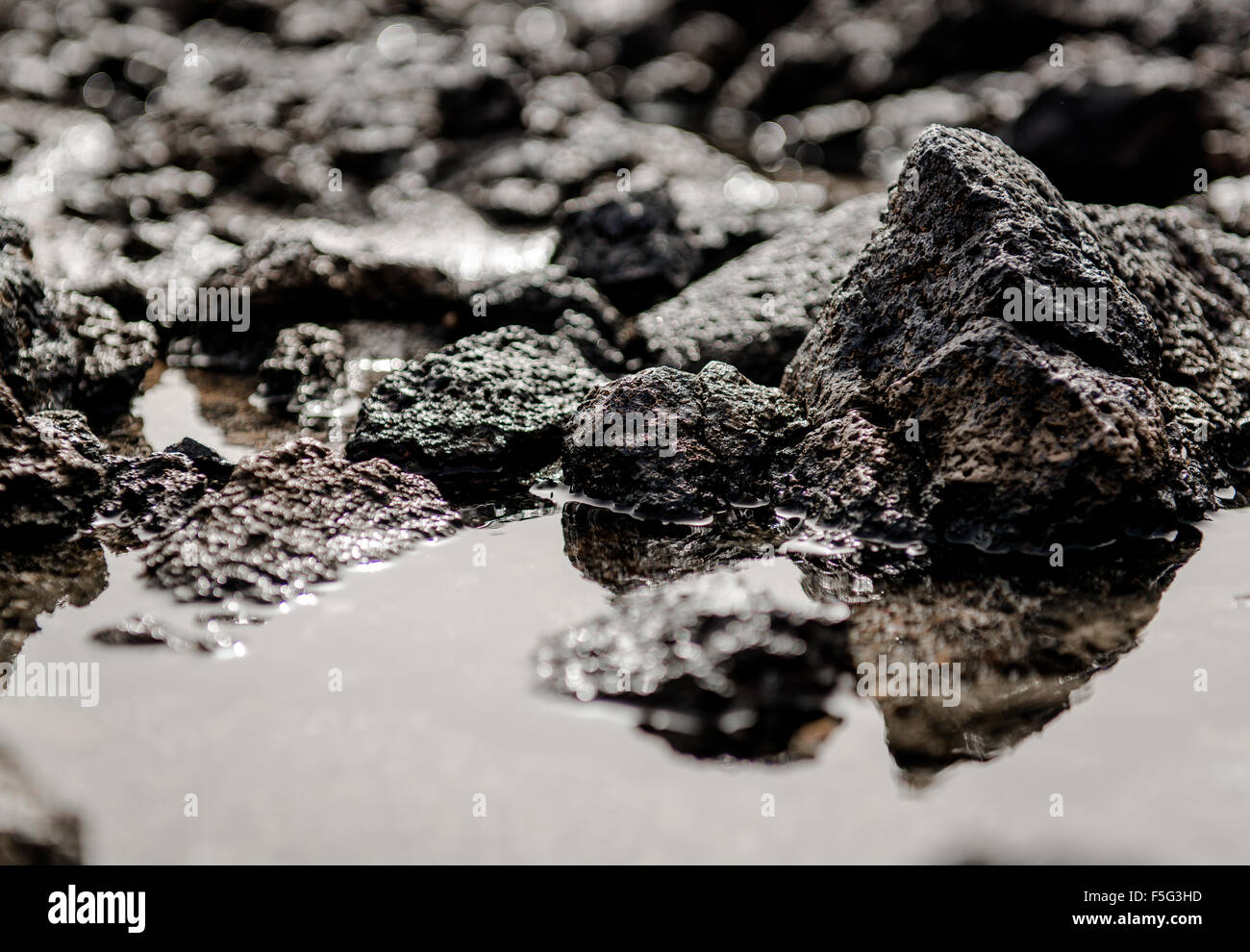 Rocky coast of Tenerife. Black volcanic stones. Canary Islands. Spain ...