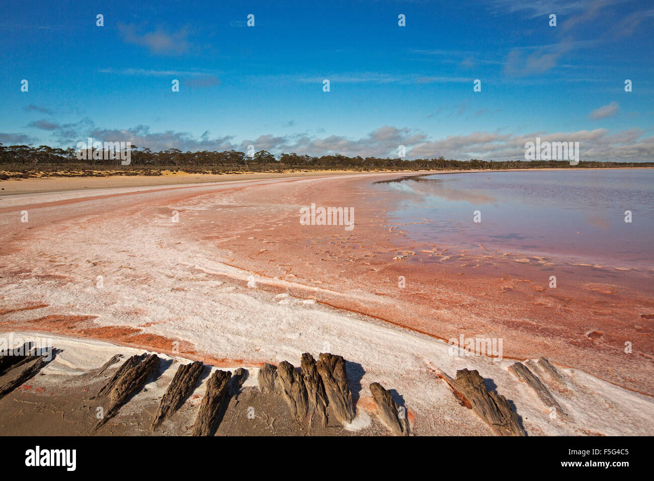 Vast outback landscape with unusual vivid pink layers of salt beside ...