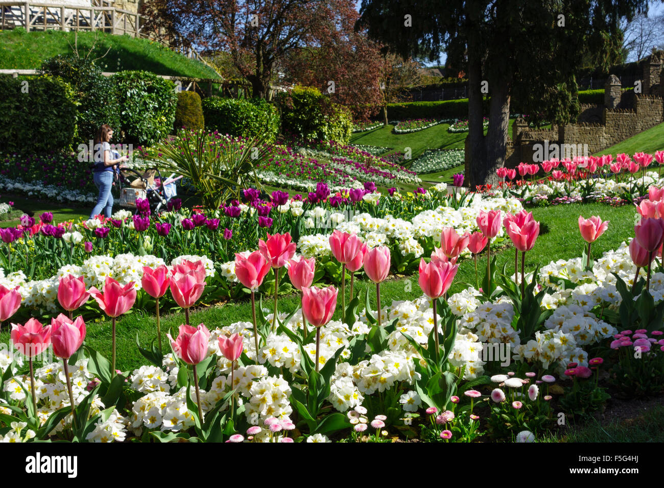 Guildford Castle gardens in spring, Surrey, UK Stock Photo - Alamy