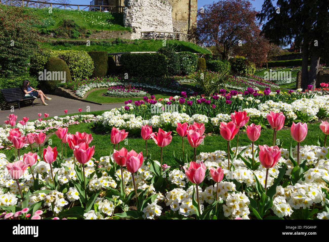 Guildford Castle gardens in spring, Surrey, UK Stock Photo - Alamy