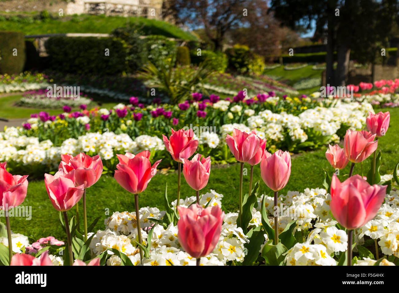 Guildford Castle gardens in spring, Surrey, UK Stock Photo - Alamy