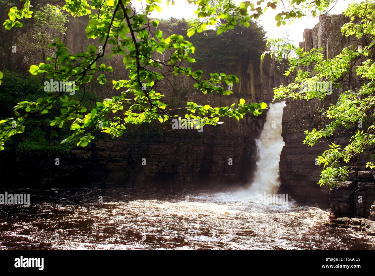 High Force waterfall Stock Photo - Alamy