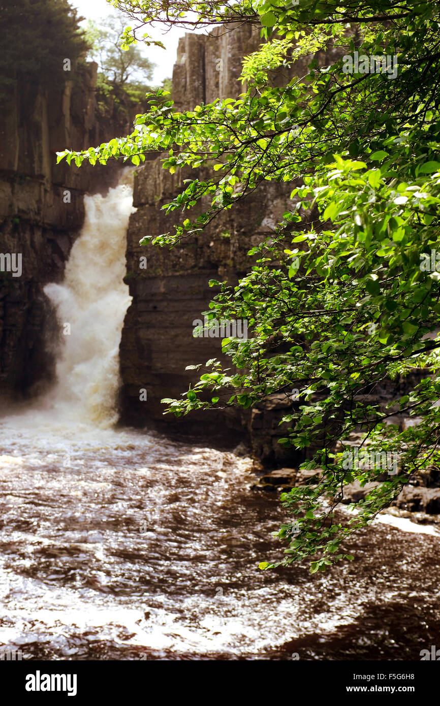 High Force waterfall Stock Photo - Alamy