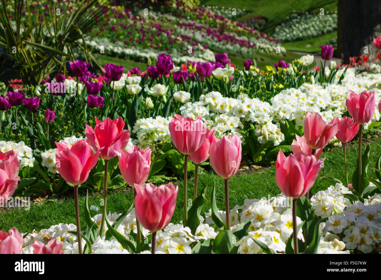 Guildford Castle gardens in spring, Surrey, UK Stock Photo - Alamy