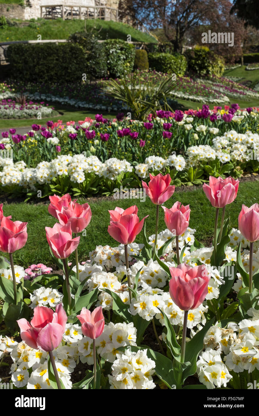 Guildford Castle gardens in spring, Surrey, UK Stock Photo - Alamy