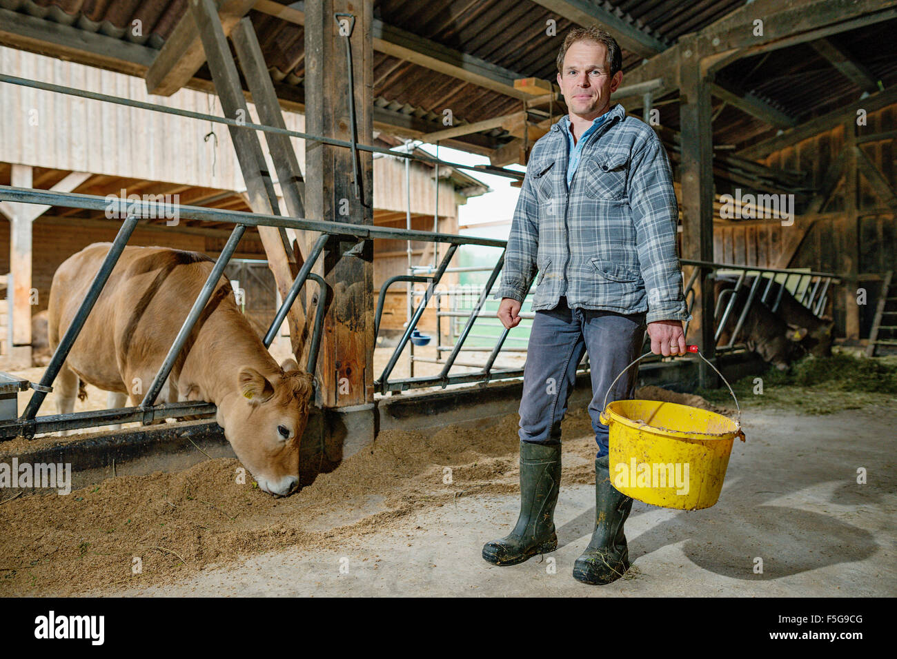 Farmer Sepp Dähler produces Kabier beef by giving ”beer massage” to his ...