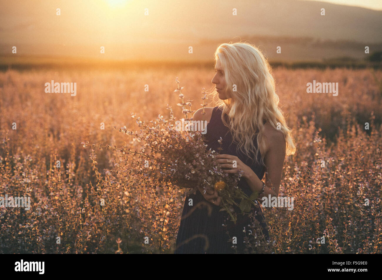 beautiful woman portrait with flower nature sunset happy people outdoor ...