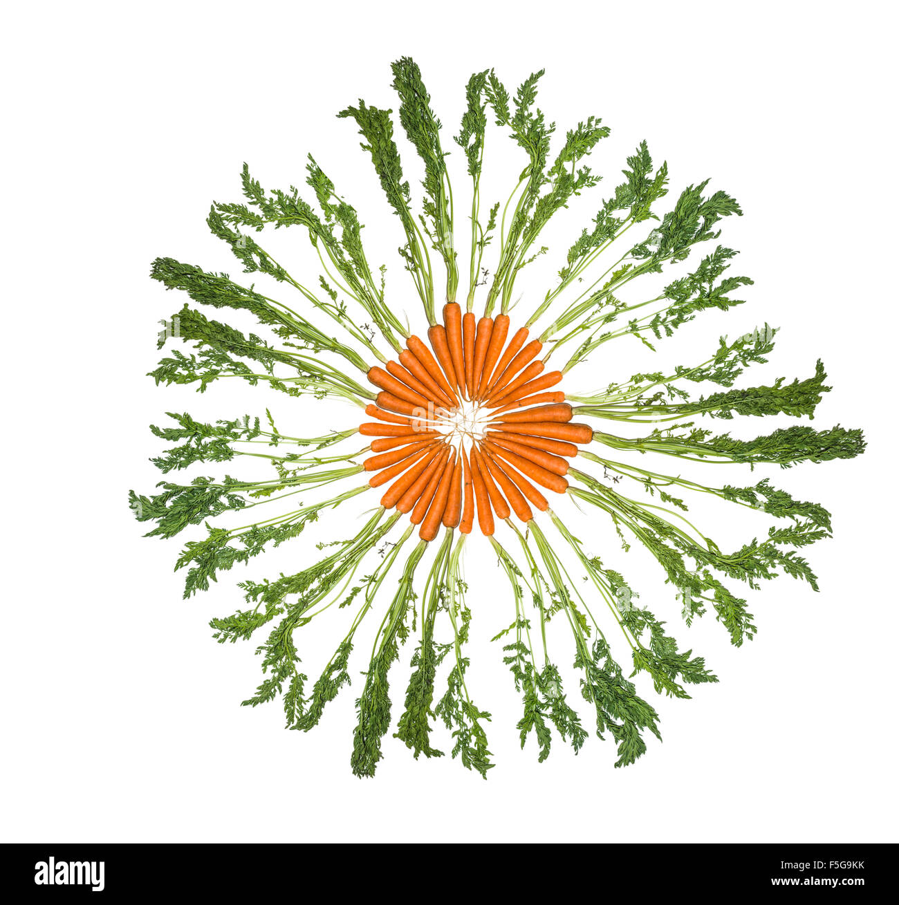 Carrot pattern Cut Out Stock Images & Pictures - Alamy
