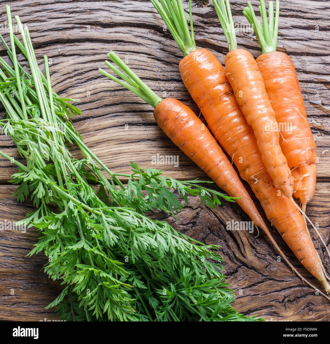 Carrots shoots vegetable hi-res stock photography and images - Alamy