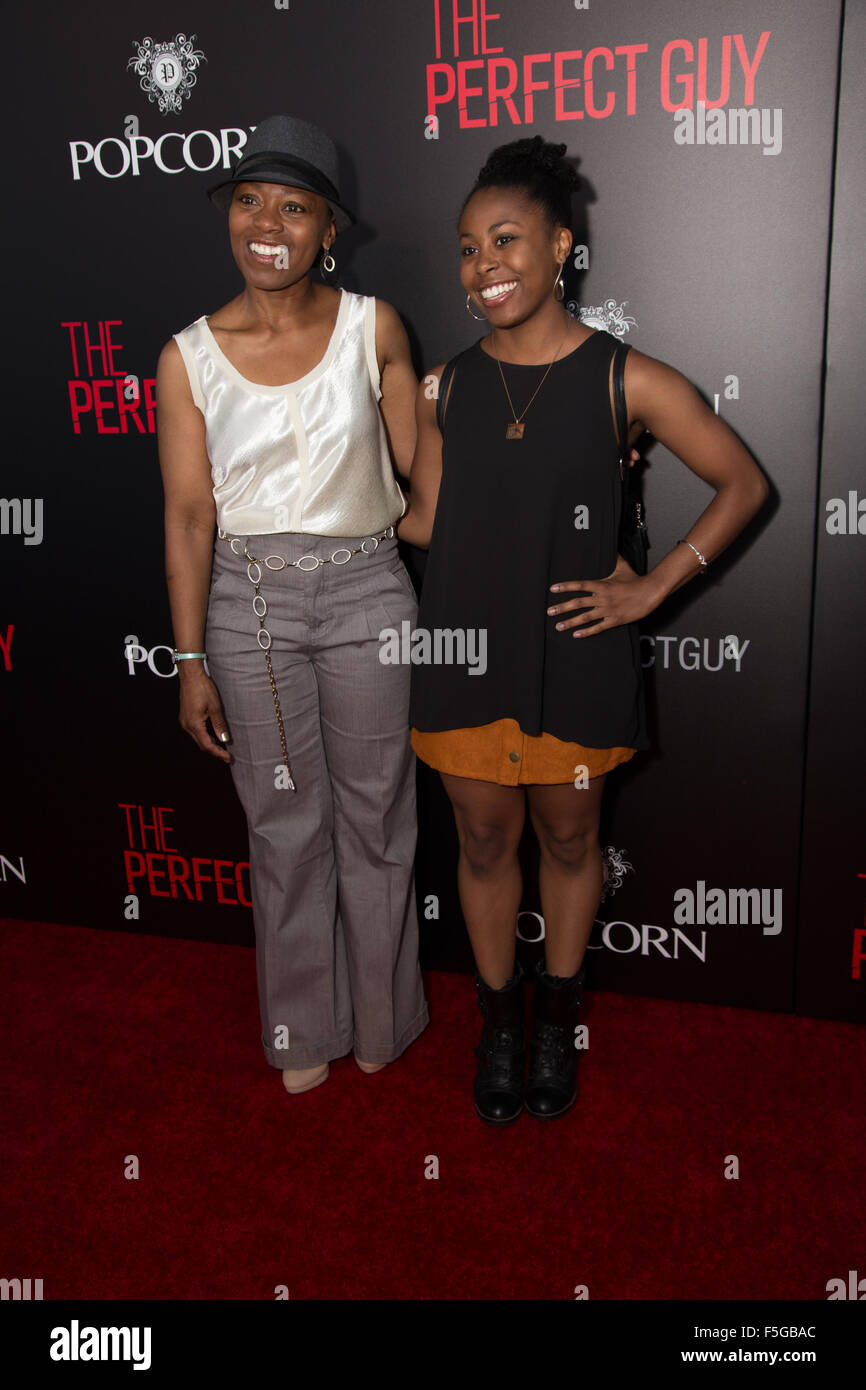 The Perfect Man Cast