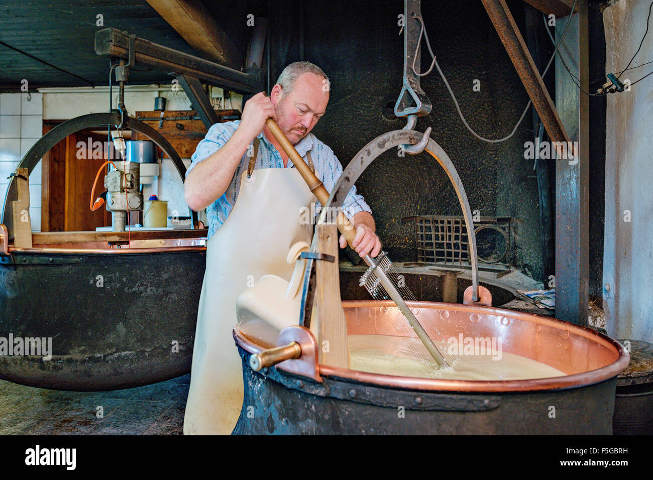 Mr. Jean Louis Roche runs an alpage, a mountain dairy. All the work is ...