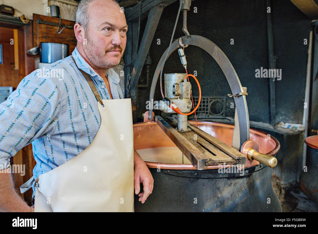 Mr. Jean Louis Roche runs an alpage, a mountain dairy. All the work is ...