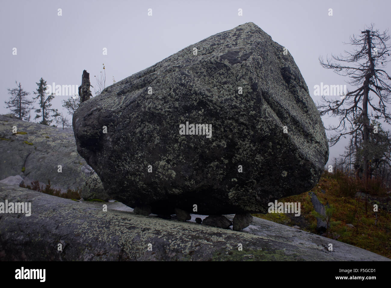 Large and small hi-res stock photography and images - Alamy