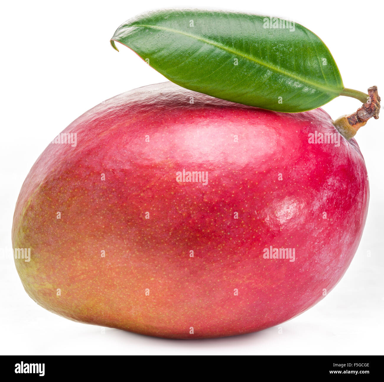 Mango with leaf hi-res stock photography and images - Alamy
