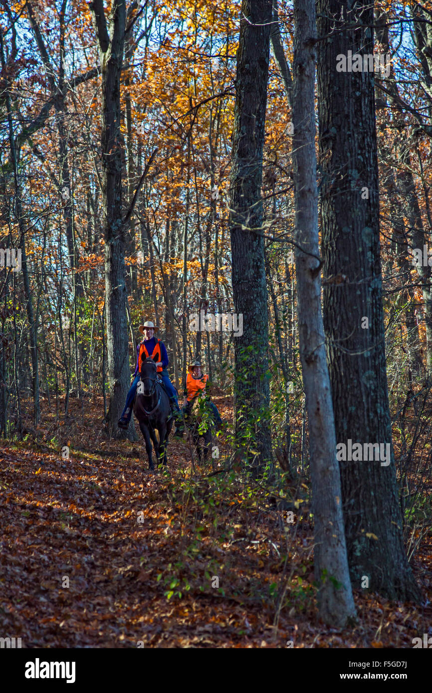 Pinckney michigan hi-res stock photography and images - Alamy