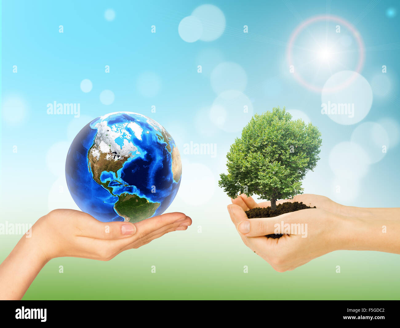 Humans hands holding green tree and Earth Stock Photo - Alamy