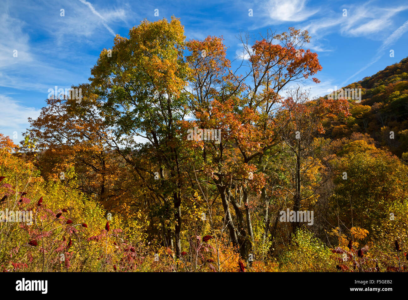 Shenandoah skyline drive fall hi-res stock photography and images - Alamy
