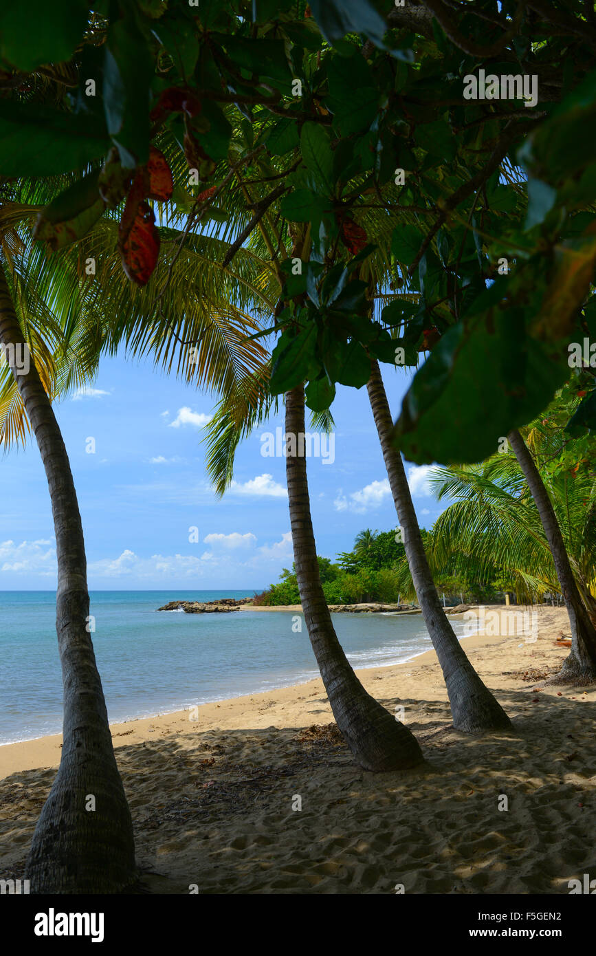 Reserva Marina Tres Palmas. Marina Beach. Ricon, Puerto Rico. USA ...