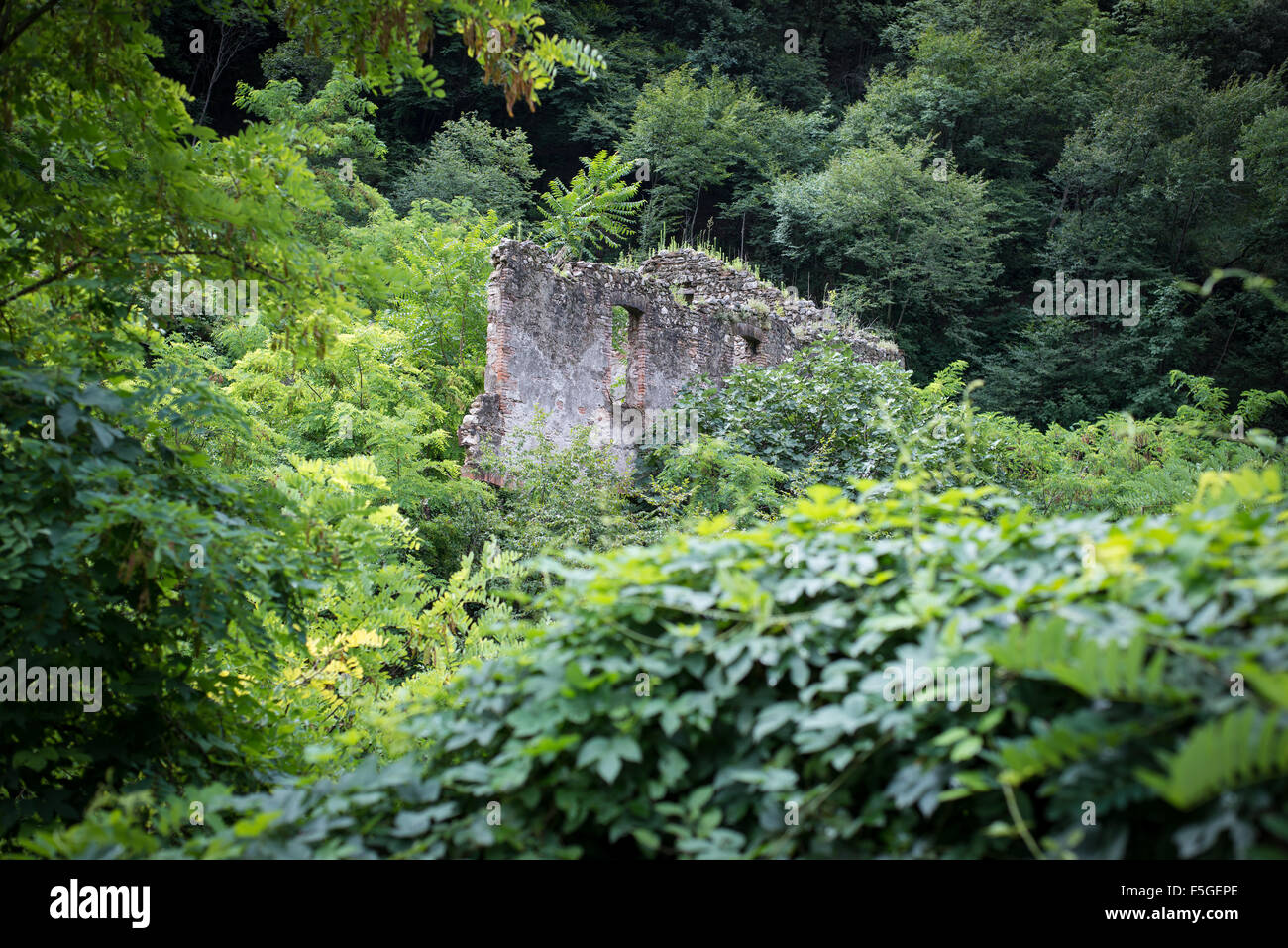 Overgrown ruins hi-res stock photography and images - Alamy