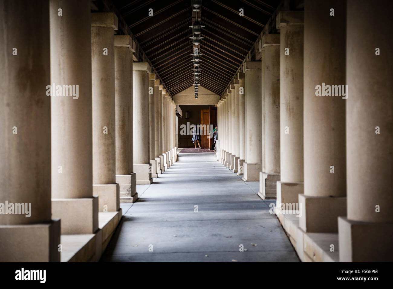 Standford University campus Stock Photo - Alamy