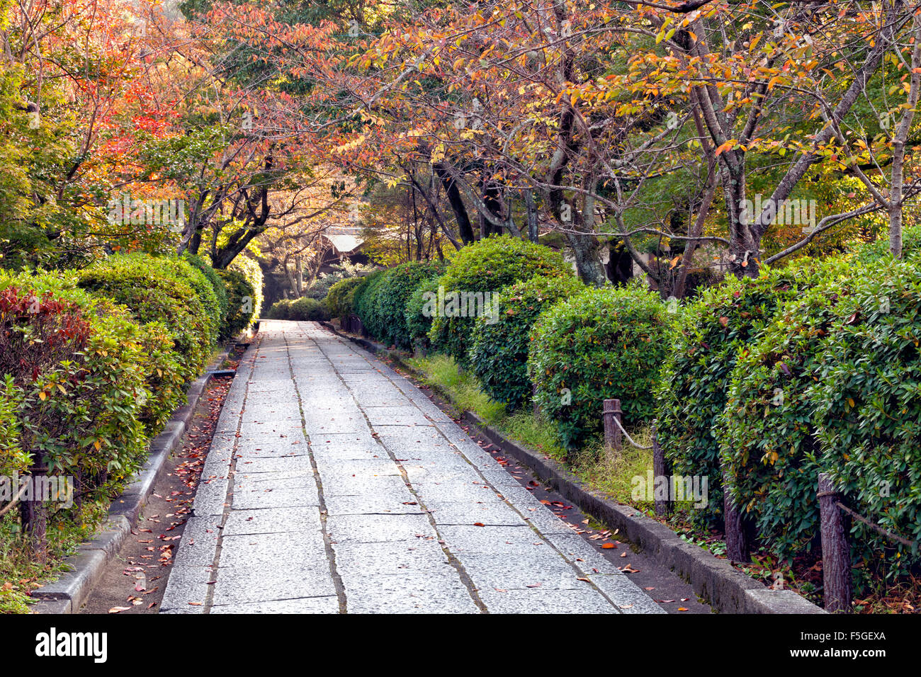 Fall foliage on stone hi-res stock photography and images - Alamy