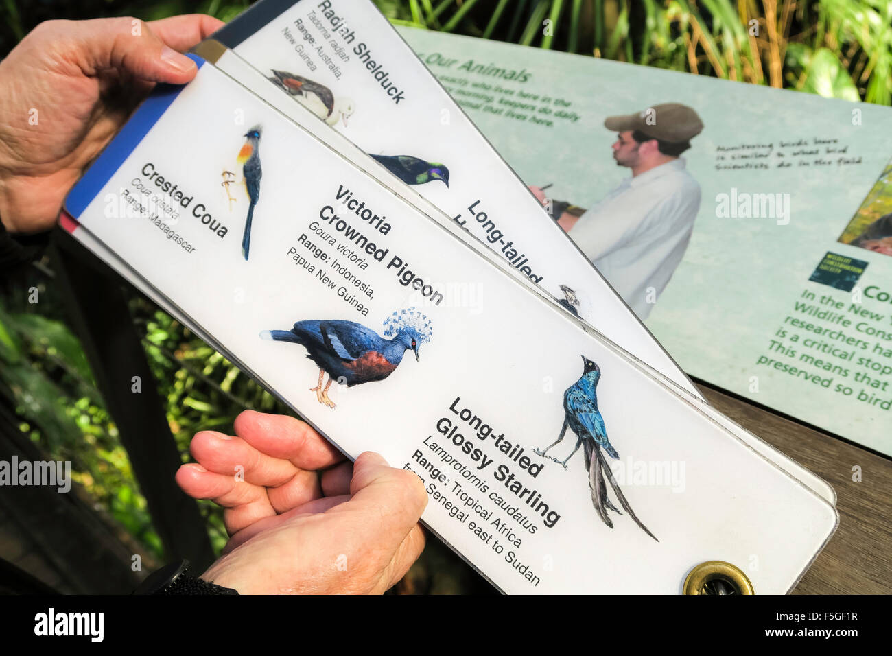 "Tropic Zone" in Central Park Zoo, NYC, USA Stock Photo - Alamy