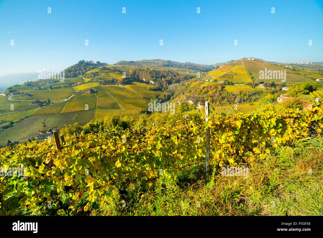 Piedmont, Italy, panorama of vineyards of Piedmont: Langhe-Roero and ...