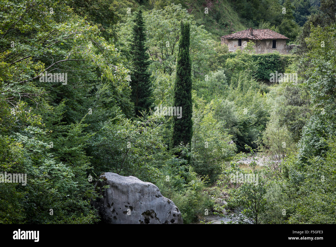 Paper mill caneto hi-res stock photography and images - Alamy
