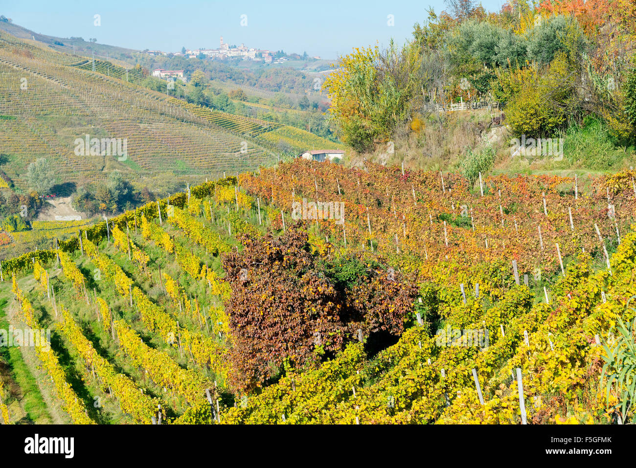 Piedmont, Italy, panorama of vineyards of Piedmont: Langhe-Roero and ...