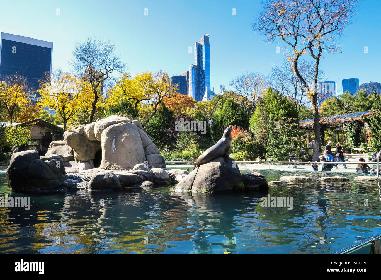 Central Park Zoo, NYC, USA Stock Photo - Alamy