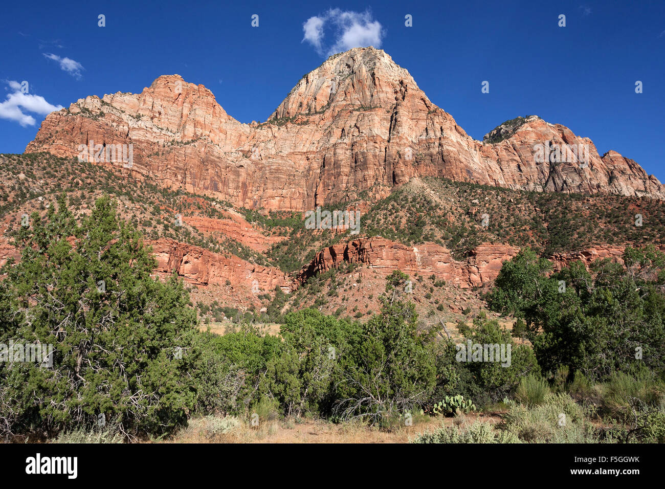 Bridge Mountain, Zion National Park, Utah, USA Stock Photo - Alamy