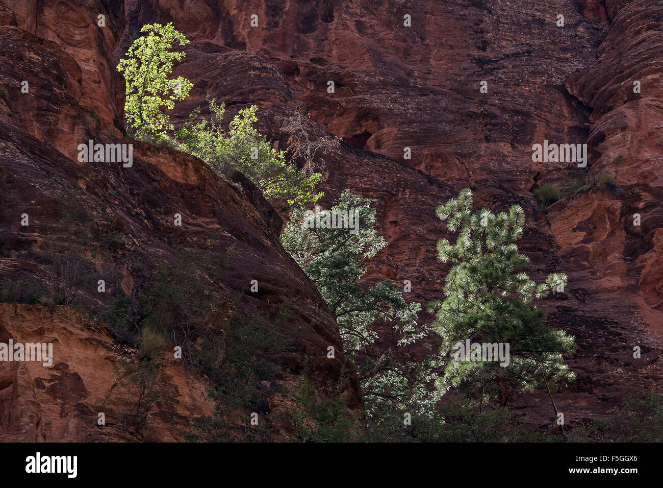 Sparse vegetation hi-res stock photography and images - Alamy