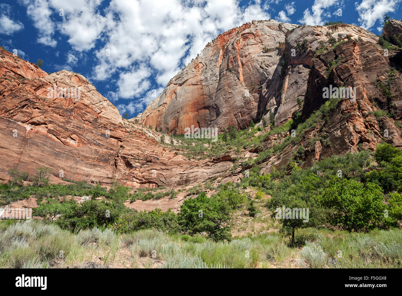 Weeping Rock Zion