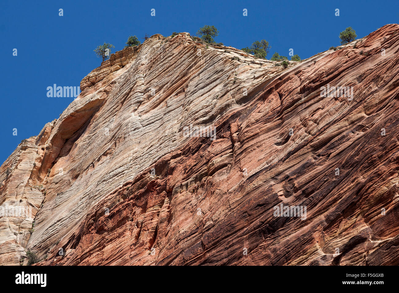 Sandstone cliffs, Zion National Park, Utah, USA Stock Photo - Alamy