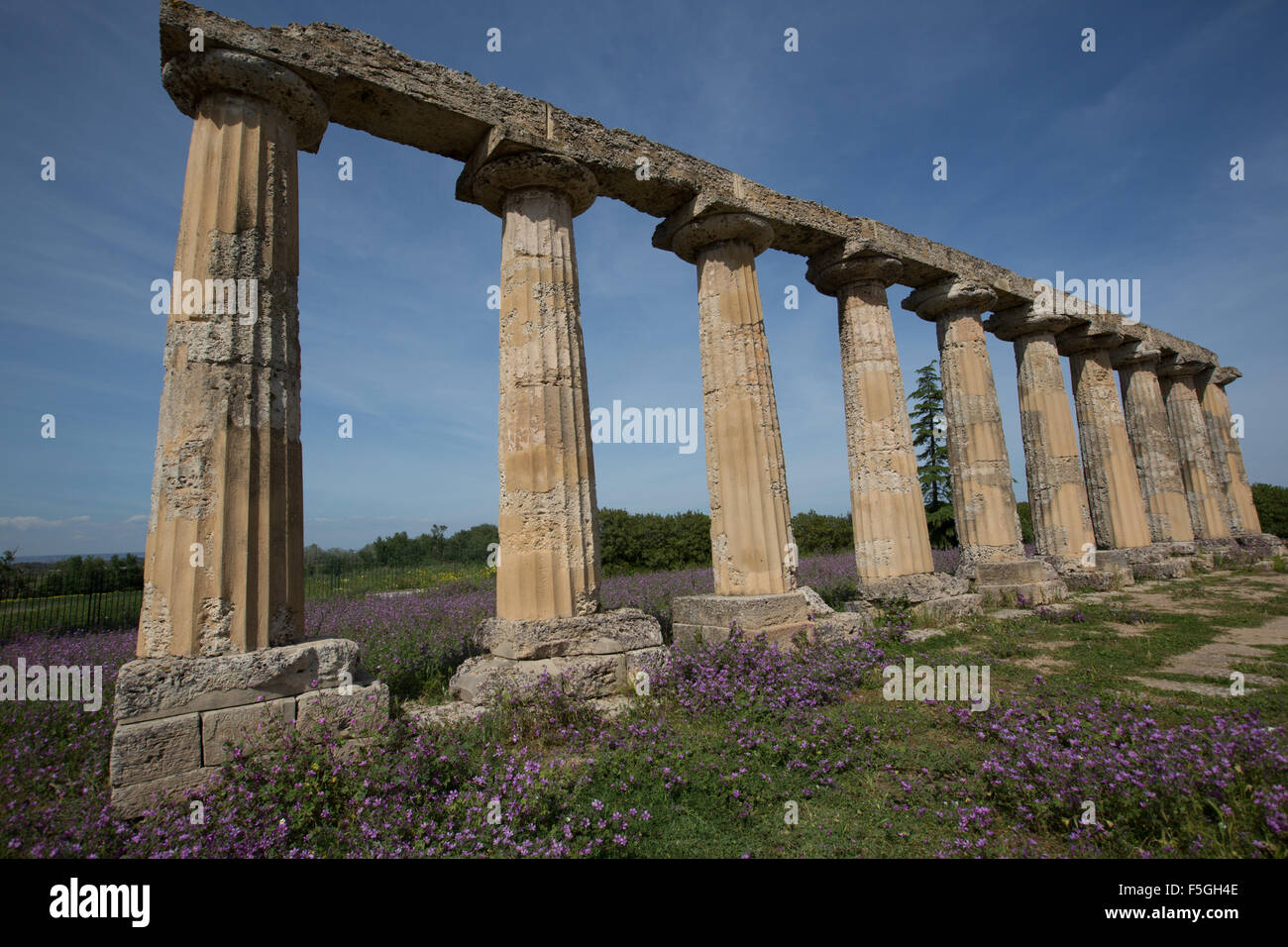 Palatine Tables, Hera Sanctuary in Metaponto, Basilicata, Italy Stock ...