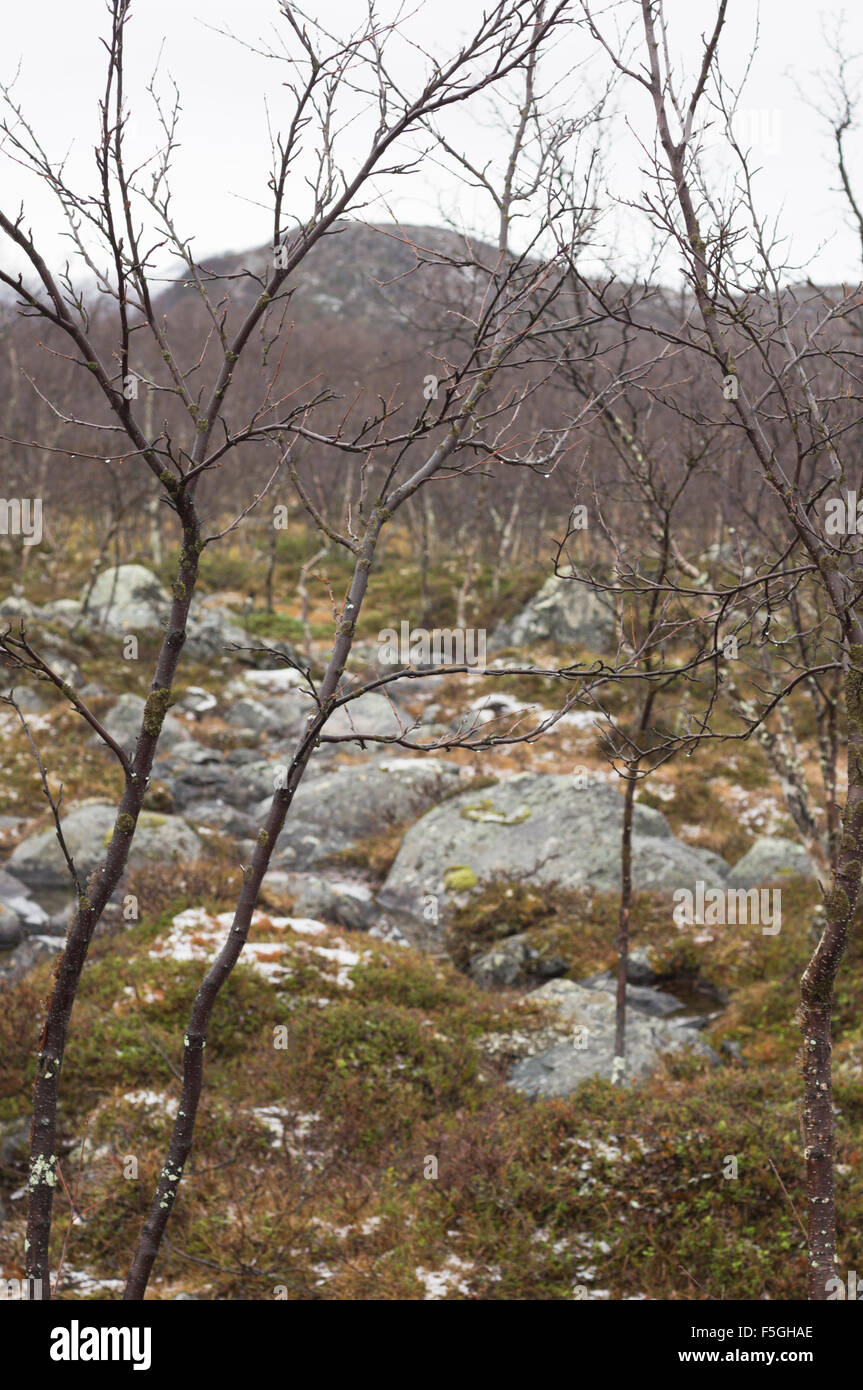 Saana hi-res stock photography and images - Alamy