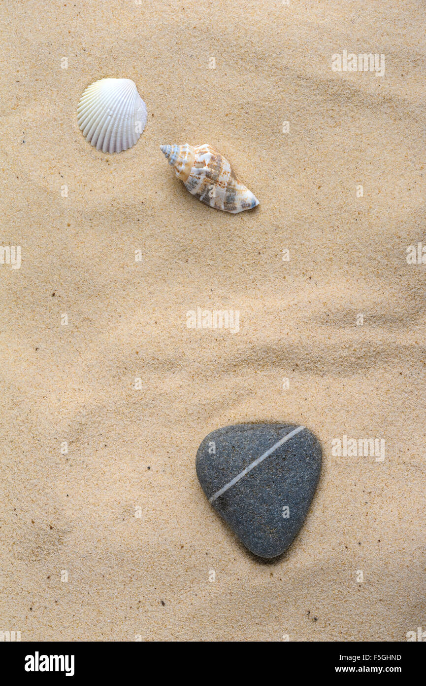 Heart shaped shells hi-res stock photography and images - Alamy