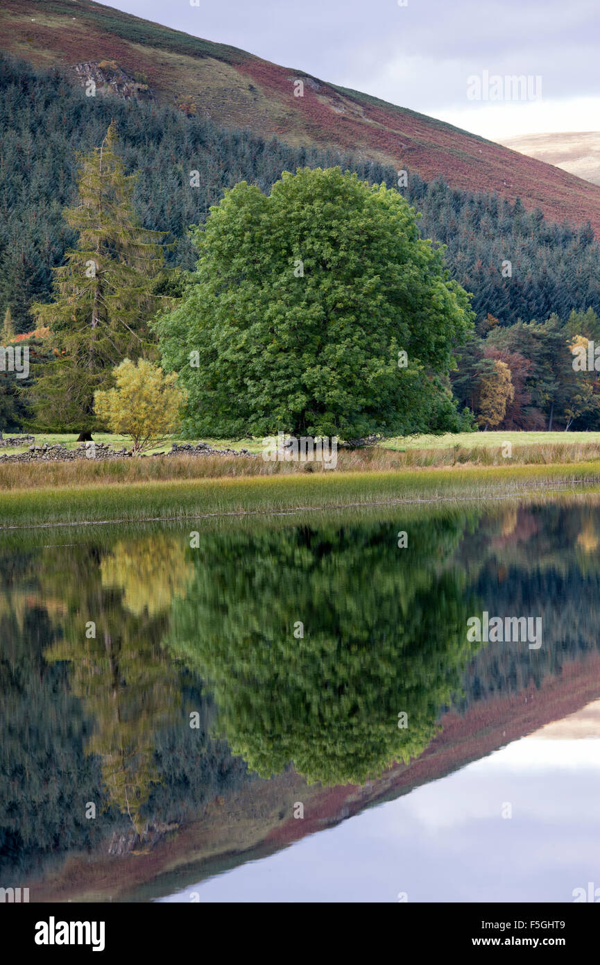 St mary’s loch hi-res stock photography and images - Alamy