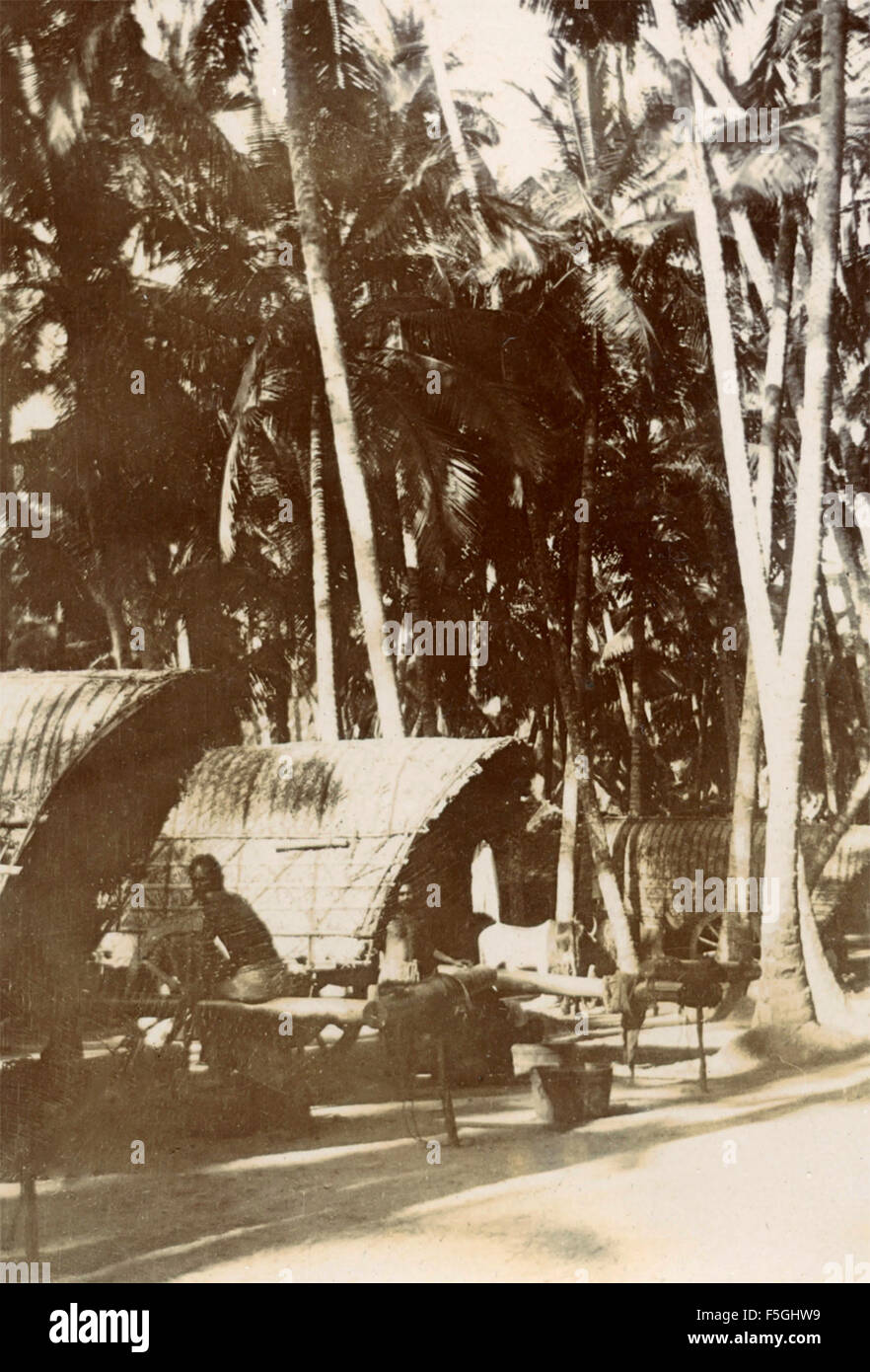 Wagons waiting under the trees, India Stock Photo - Alamy
