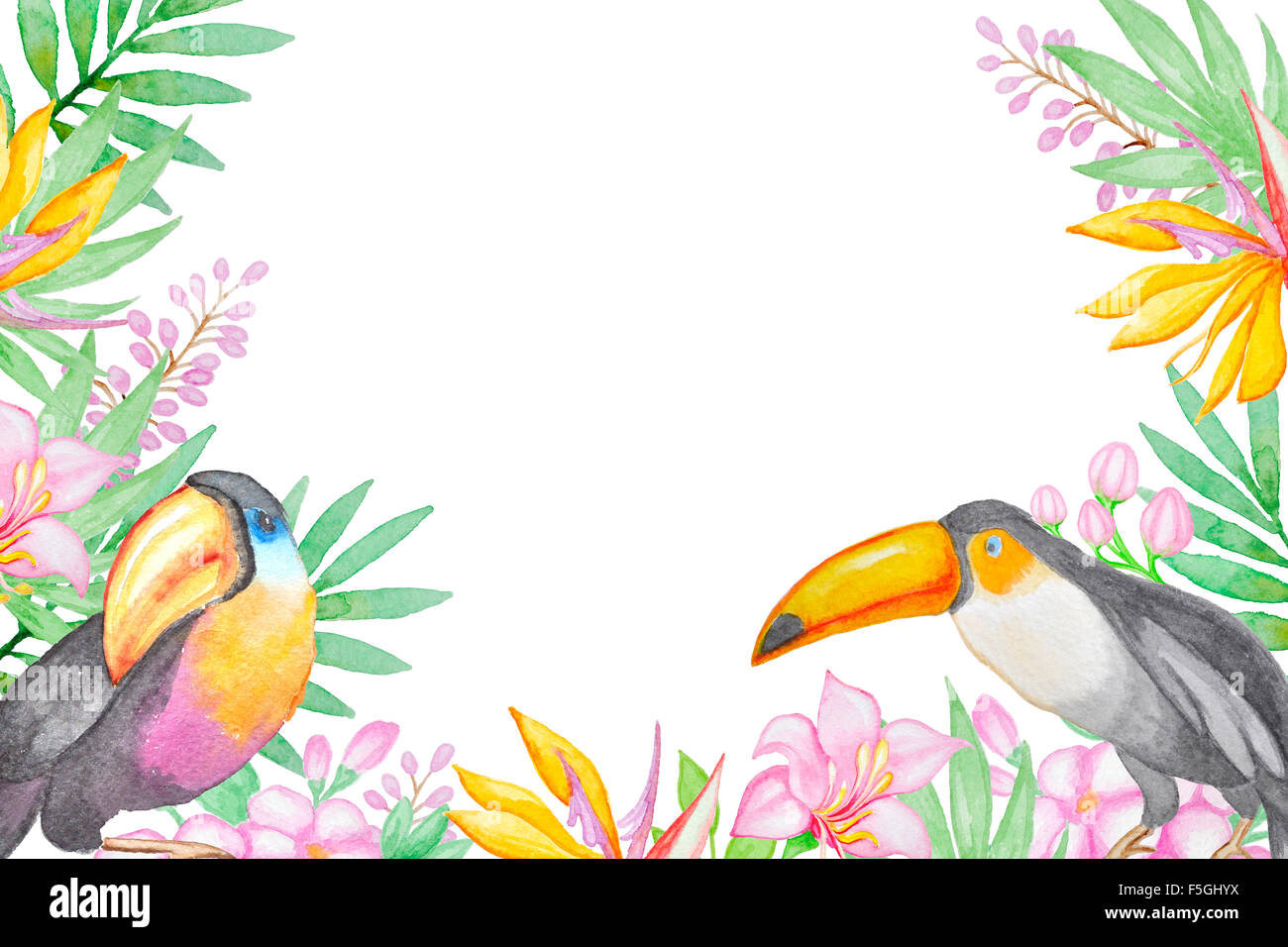 Watercolor background with tropical birds and flowers Stock Photo - Alamy