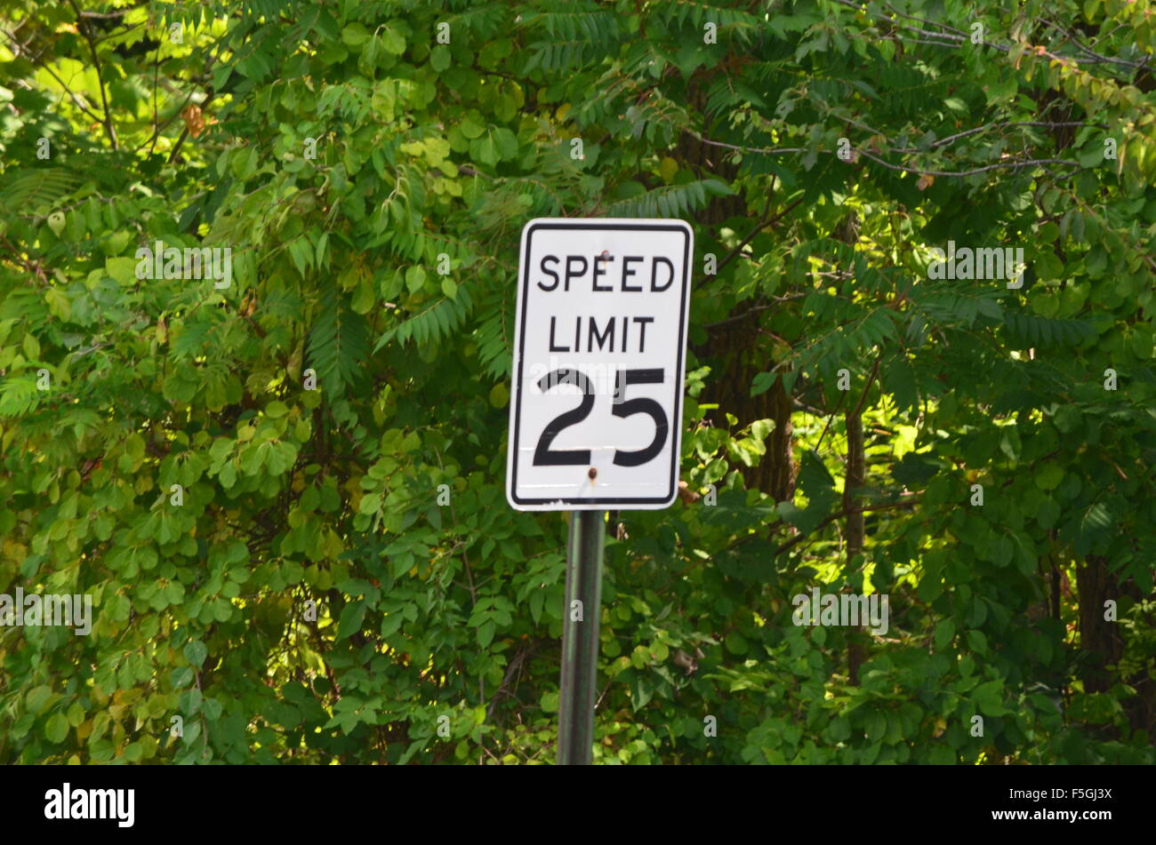 A speed limit sign hi-res stock photography and images - Alamy