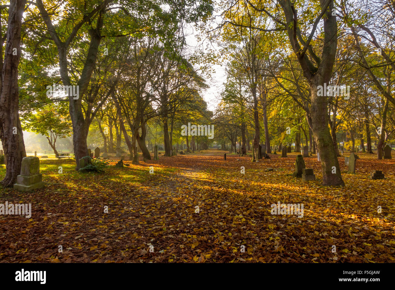 Linthorpe cemetery nature reserve hi-res stock photography and images ...