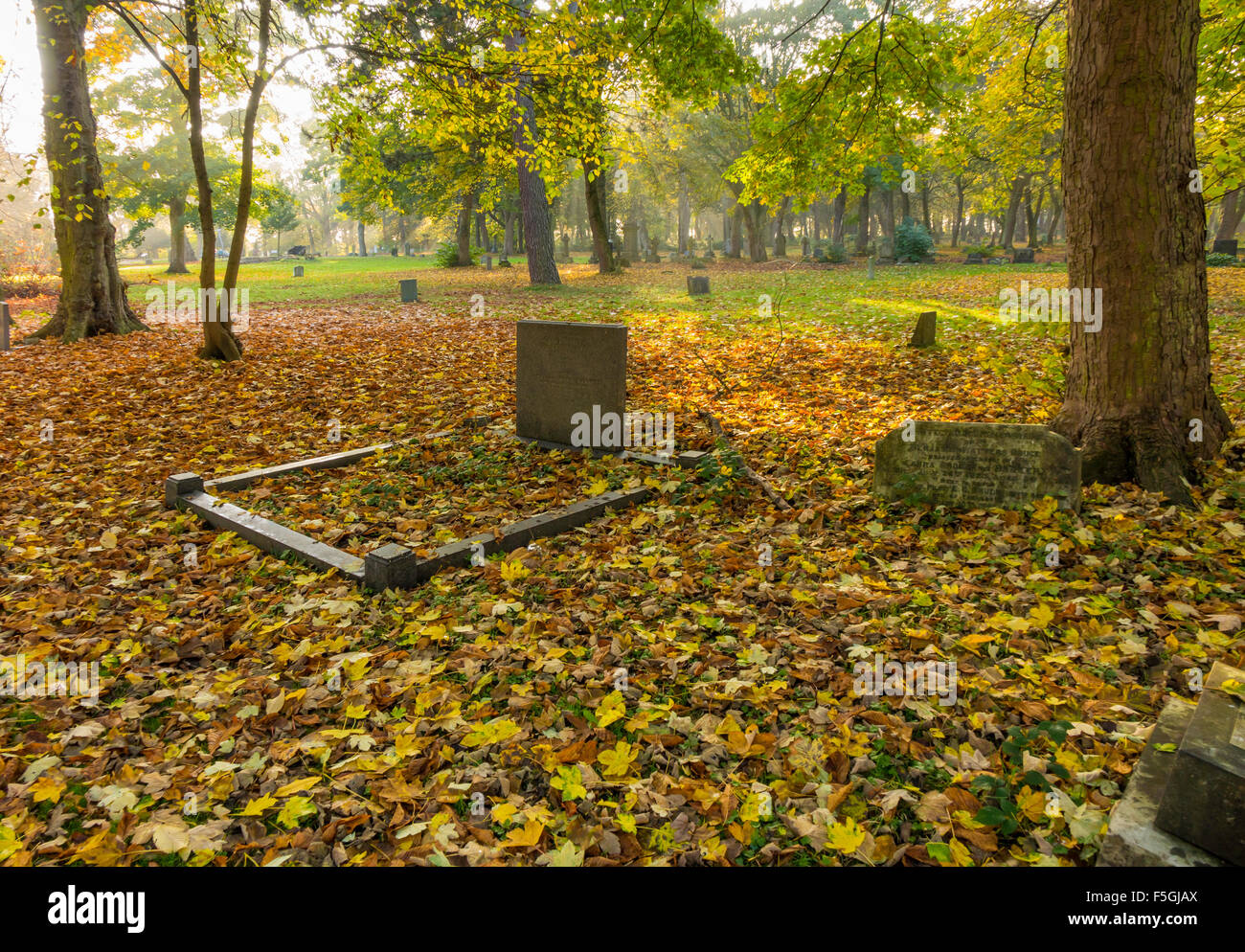 Autumn sunlight in the atmospheric Linthorpe Cemetery Nature Reserve ...