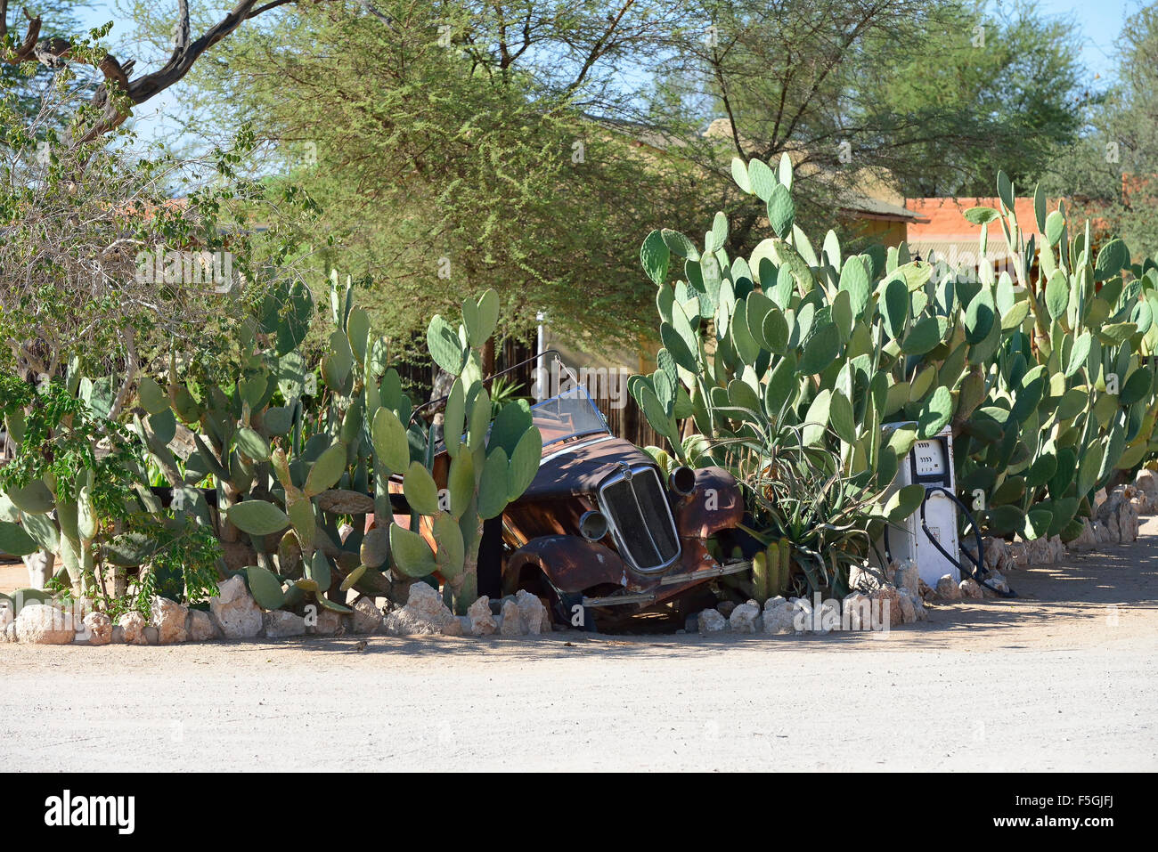 Old car amongst cacti, Solitaire, Namibia Stock Photo - Alamy